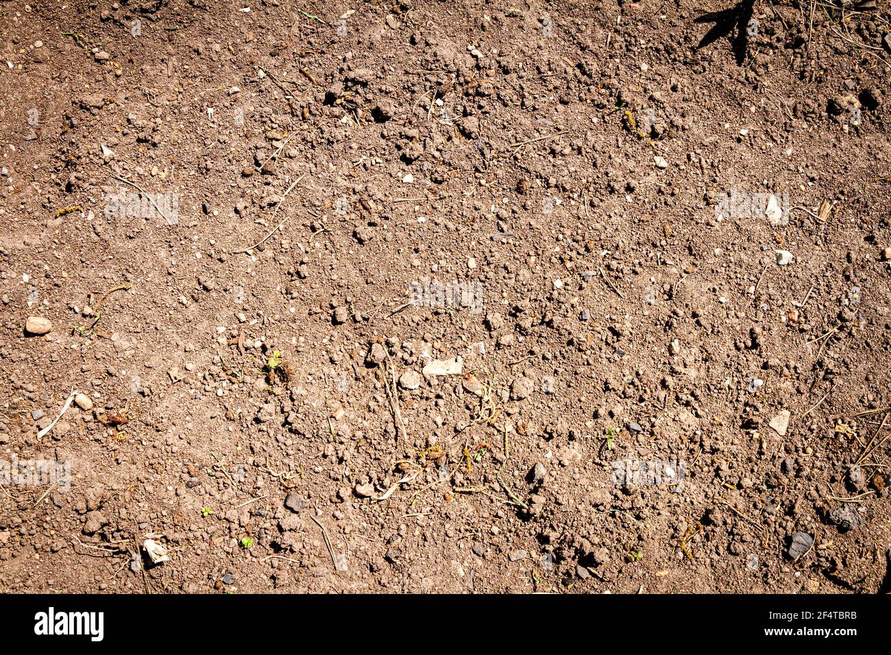 Abstract ground texture with clumps. Soil background Stock Photo - Alamy