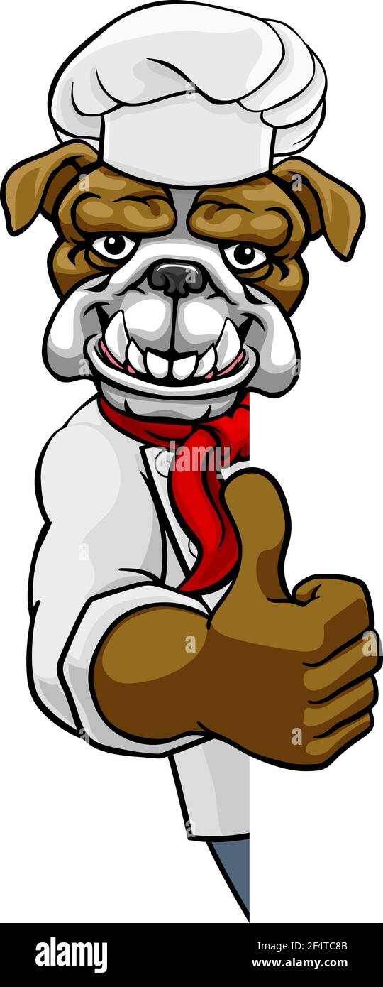 Bulldog Chef Mascot Thumbs Up Sign Cartoon Stock Vector Image & Art - Alamy