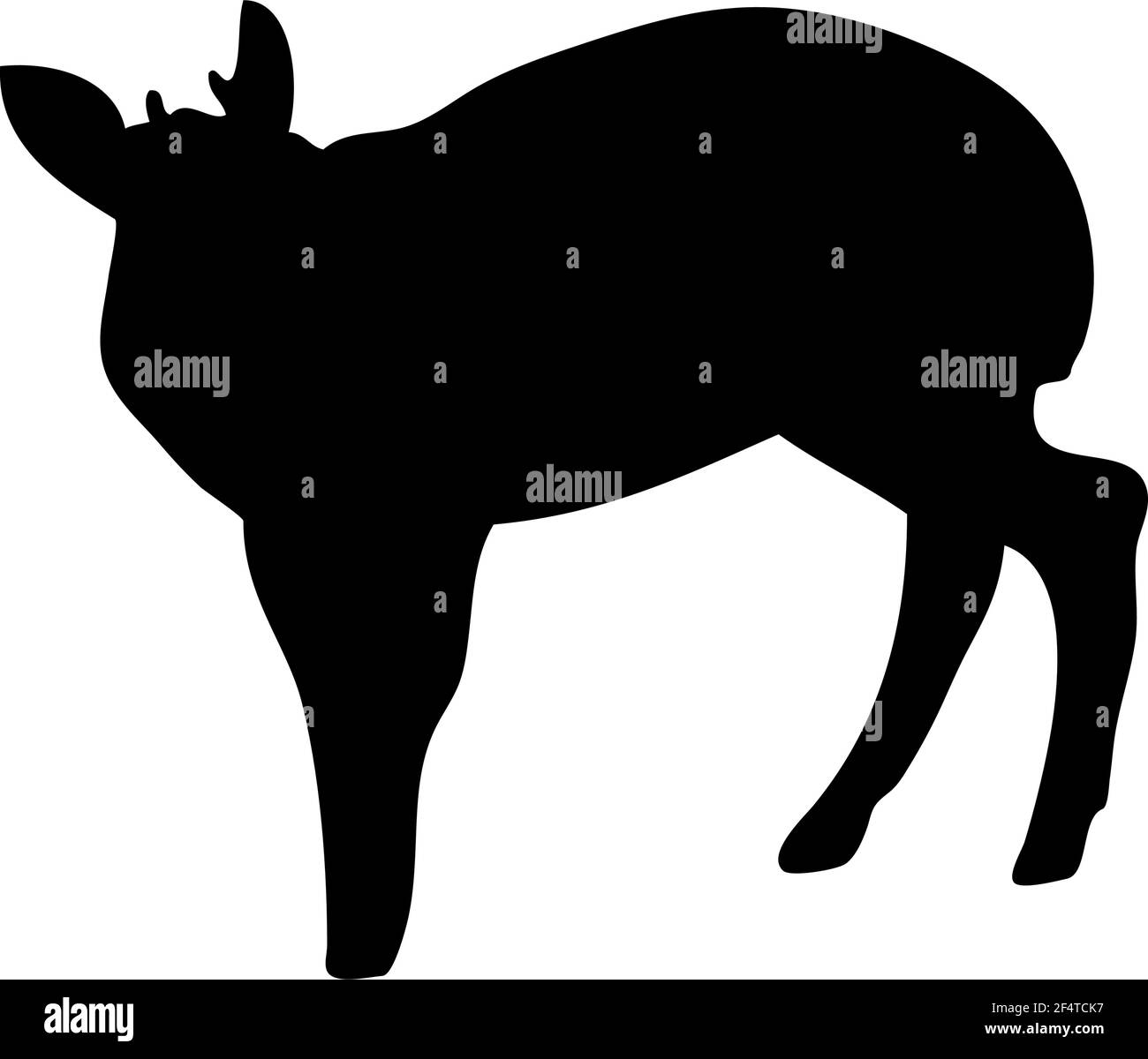Duiker antelope silhouette. Smooth and clean lines. High detailed ...