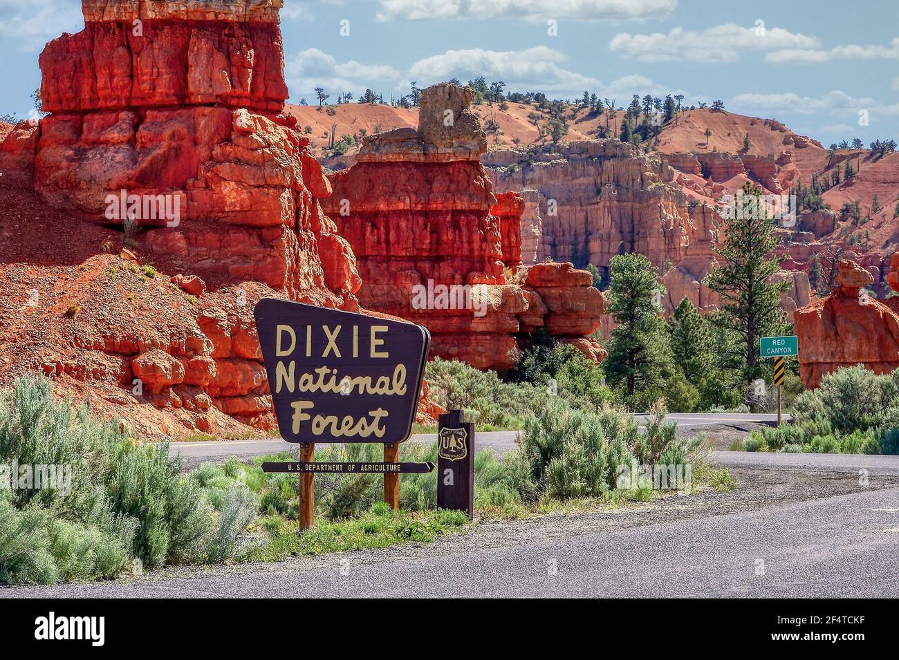 Dixie National Forest Stock Photo - Alamy