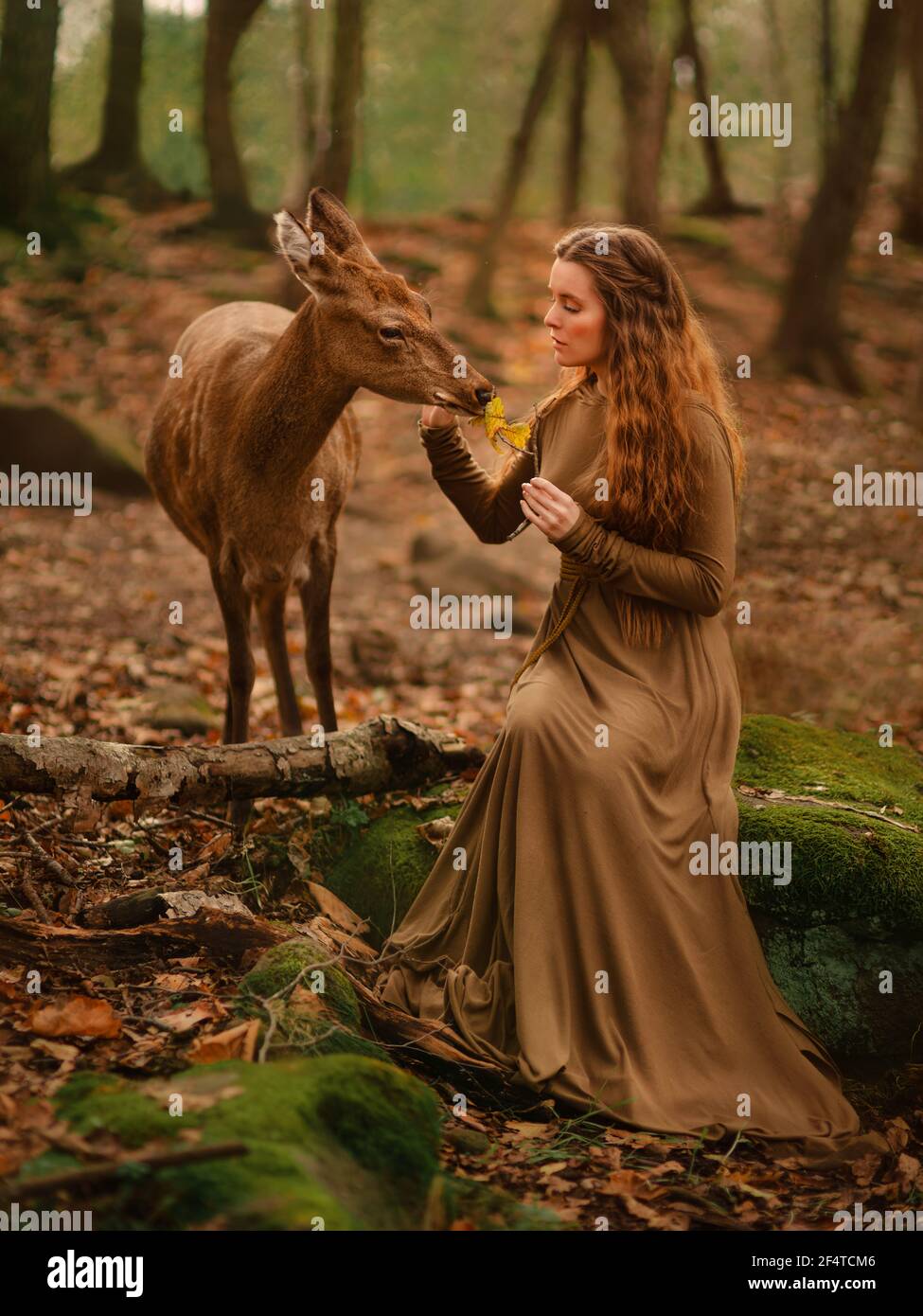Redhead girl with deer in a long dress Stock Photo - Alamy
