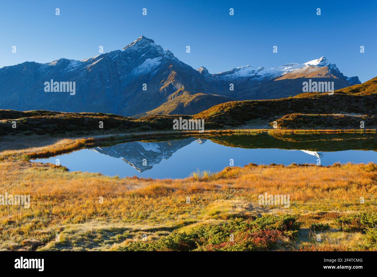 Peak beverin hi-res stock photography and images - Alamy