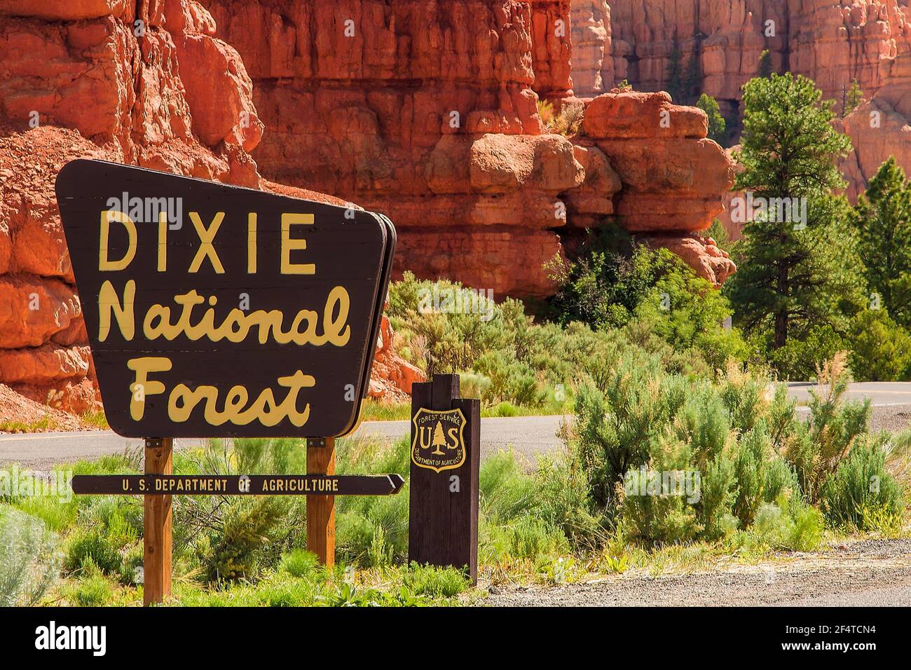 Dixie National Forest Stock Photo - Alamy