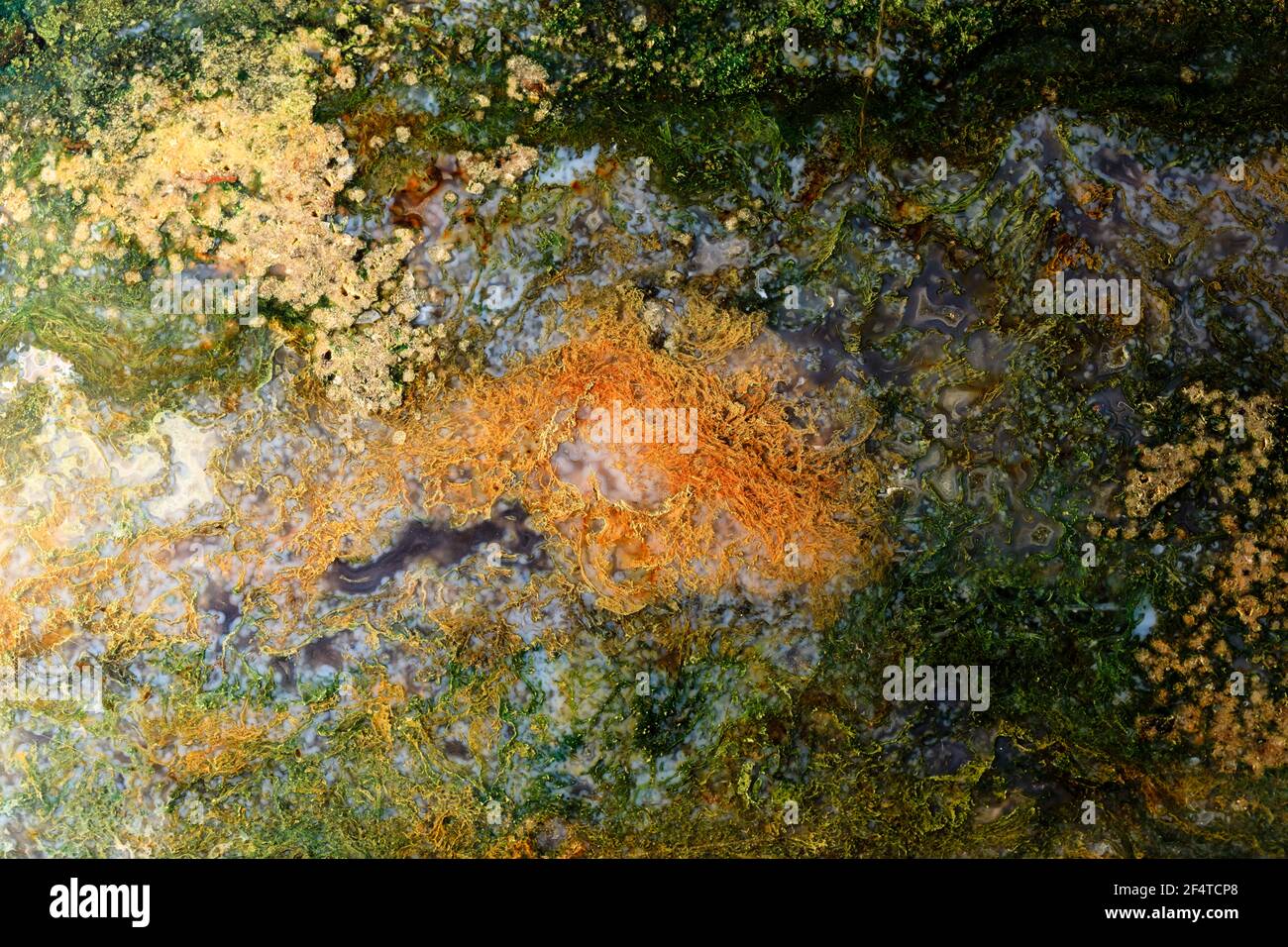 Alien planet texture hi-res stock photography and images - Alamy