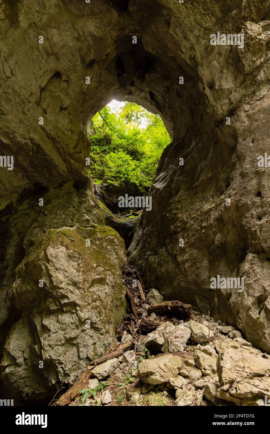 Inner carniola hi-res stock photography and images - Alamy