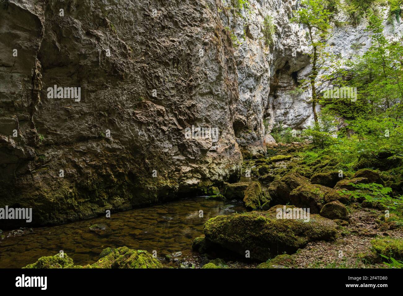 Inner carniola hi-res stock photography and images - Alamy