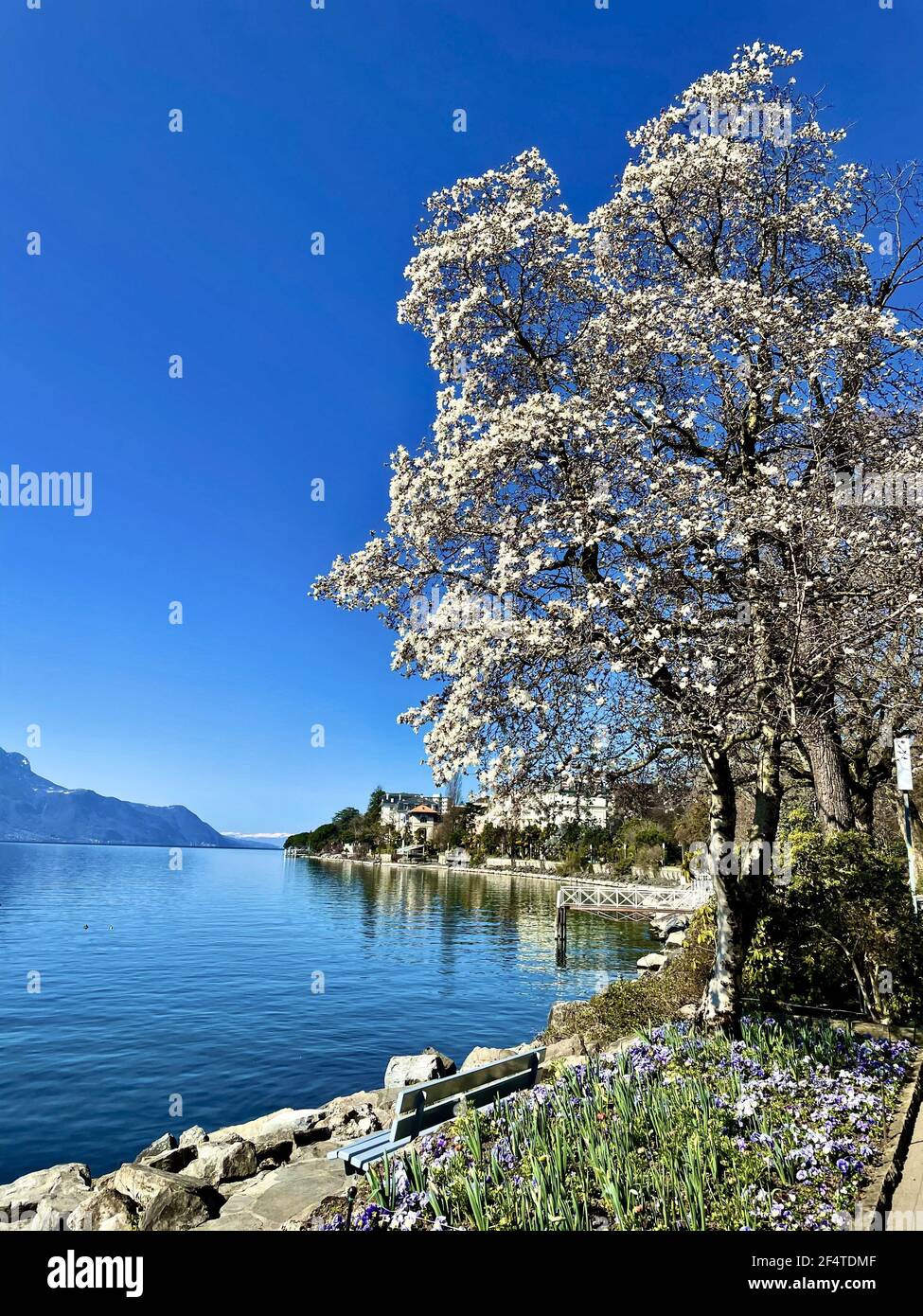Vertical shot of the Geneva lake in Clarens, Montreux, Switzerland ...