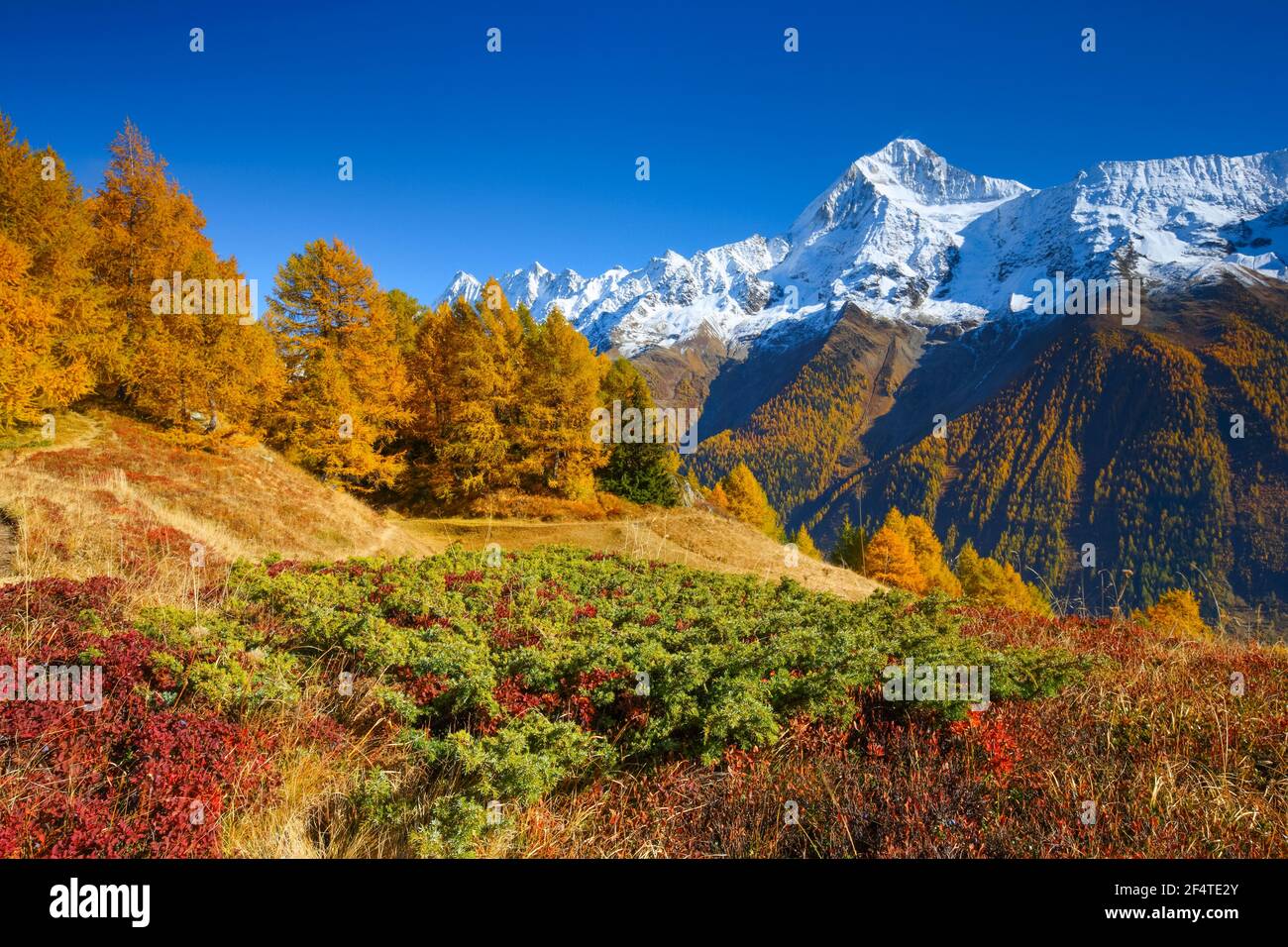 Bietschhorn hi-res stock photography and images - Alamy