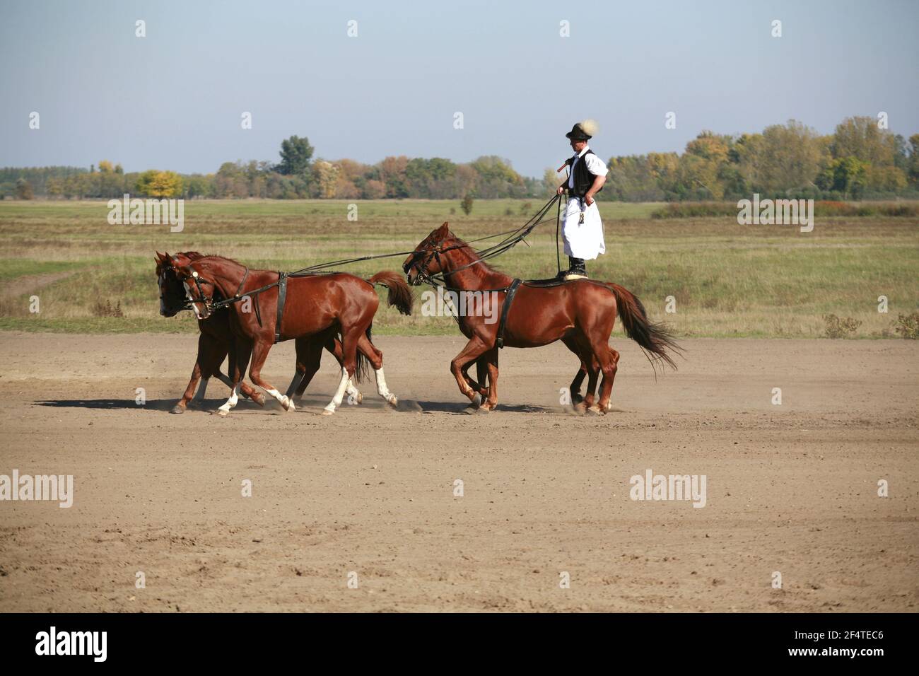 PUSZTA, HUNGARY, SEPTEMBER, 04. 2020: Hungarian csikos in traditional ...
