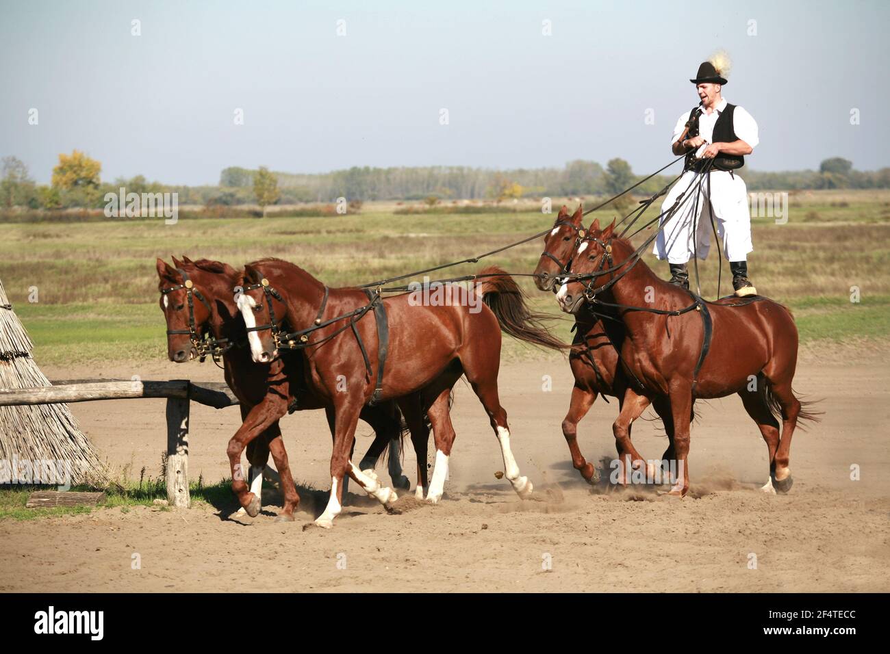 PUSZTA, HUNGARY, SEPTEMBER, 04. 2020: Hungarian csikos in traditional ...