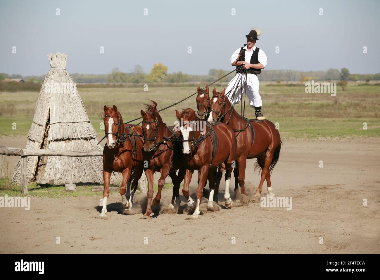 PUSZTA, HUNGARY, SEPTEMBER, 04. 2020: Hungarian csikos in traditional ...