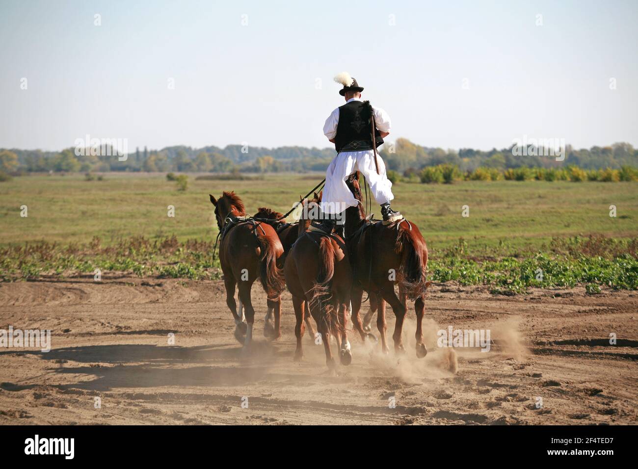 PUSZTA, HUNGARY, SEPTEMBER, 04. 2020: Hungarian csikos in traditional ...