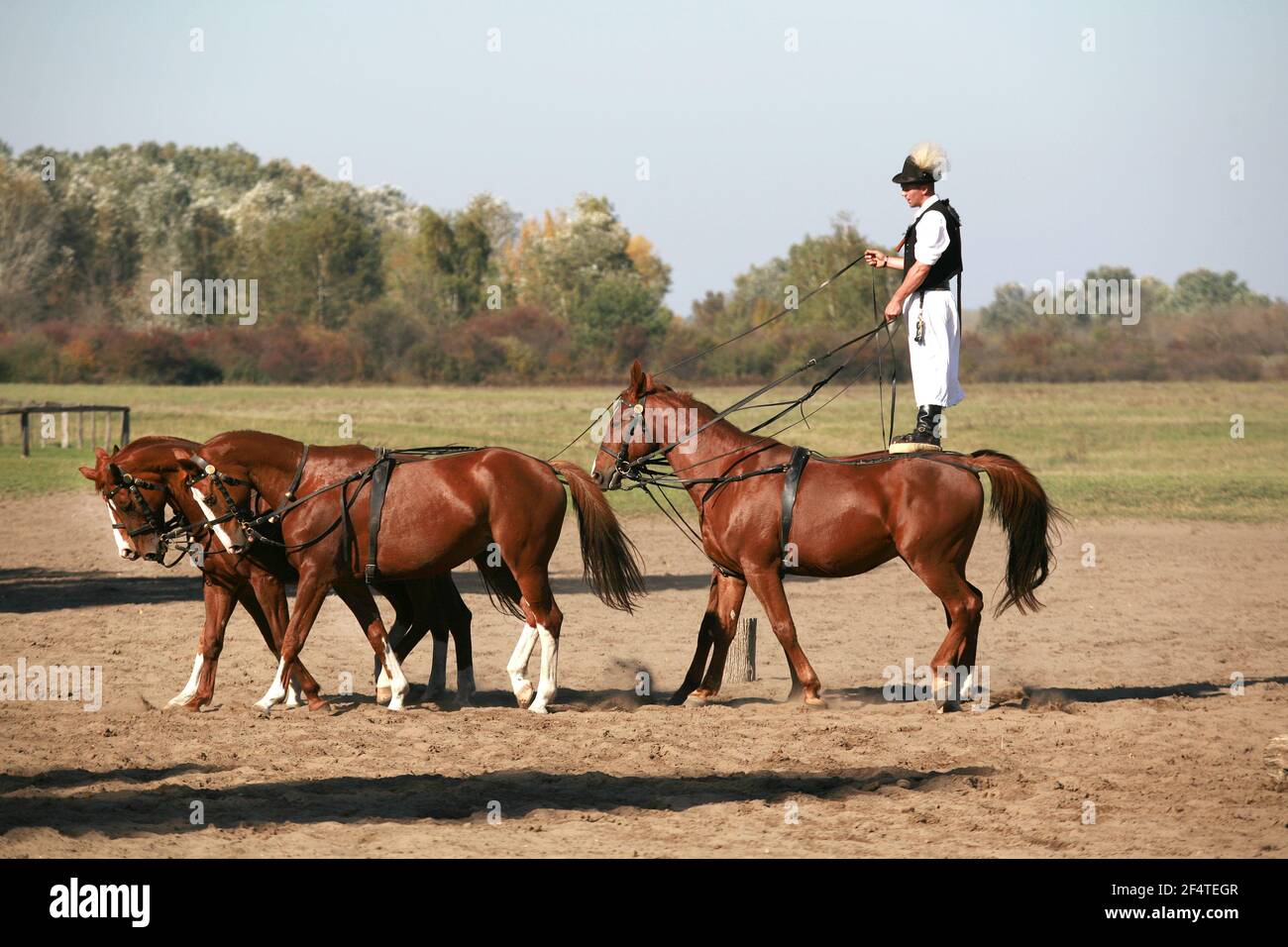 PUSZTA, HUNGARY, SEPTEMBER, 04. 2020: Hungarian csikos in traditional ...