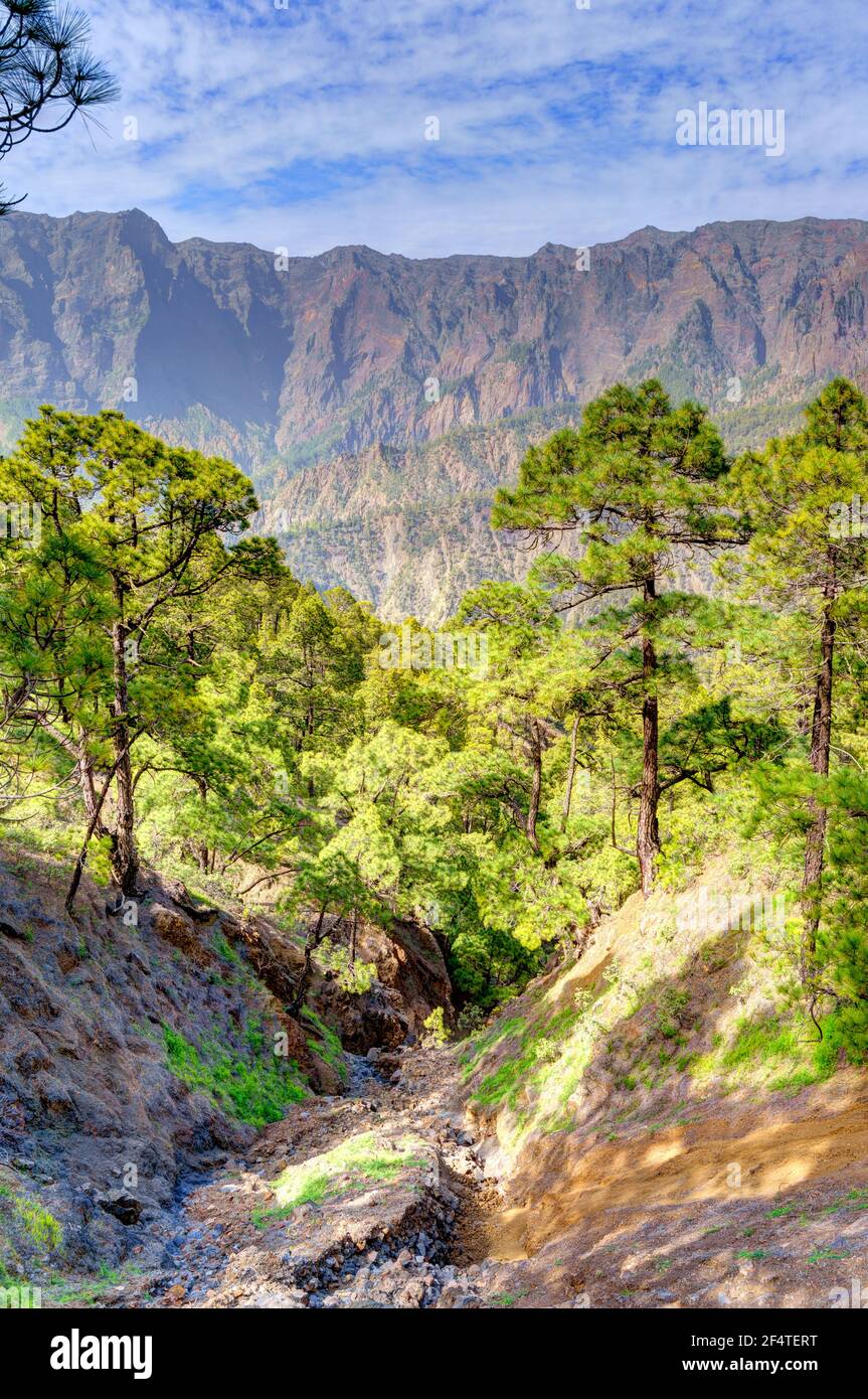 Caldera crater de taburiente hi-res stock photography and images - Alamy