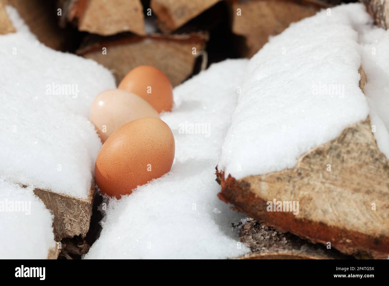 Chicken eggs in the snow. A modern composition about village life ...
