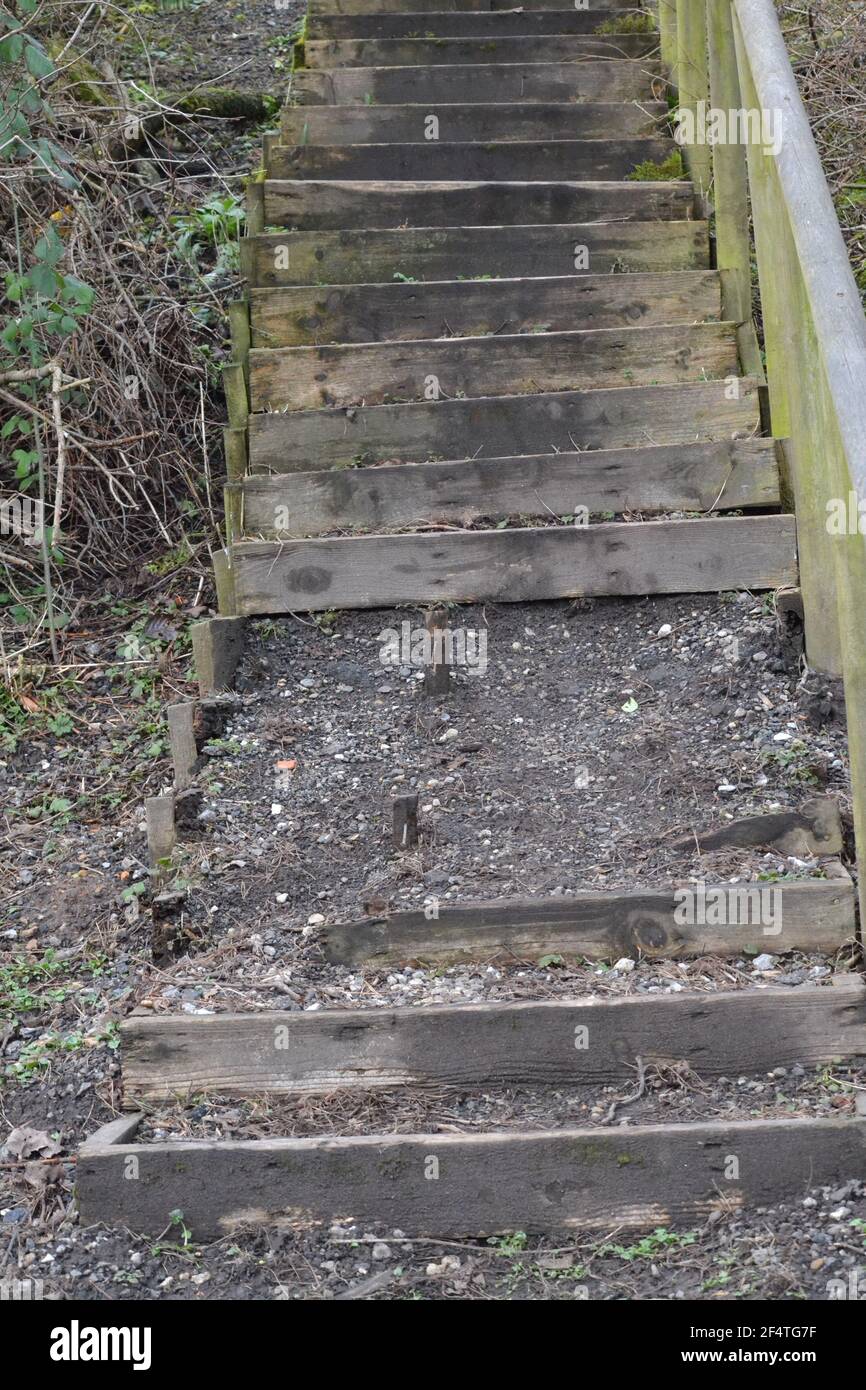 Steps And Pathway In A Country Park - Muddy And Dirty Stepped Pathway ...