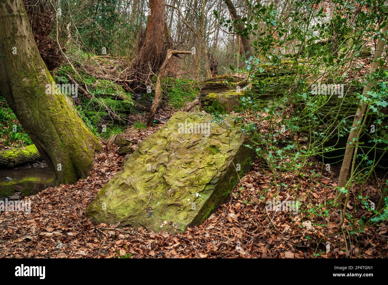 Collapsed fence wood hi-res stock photography and images - Alamy