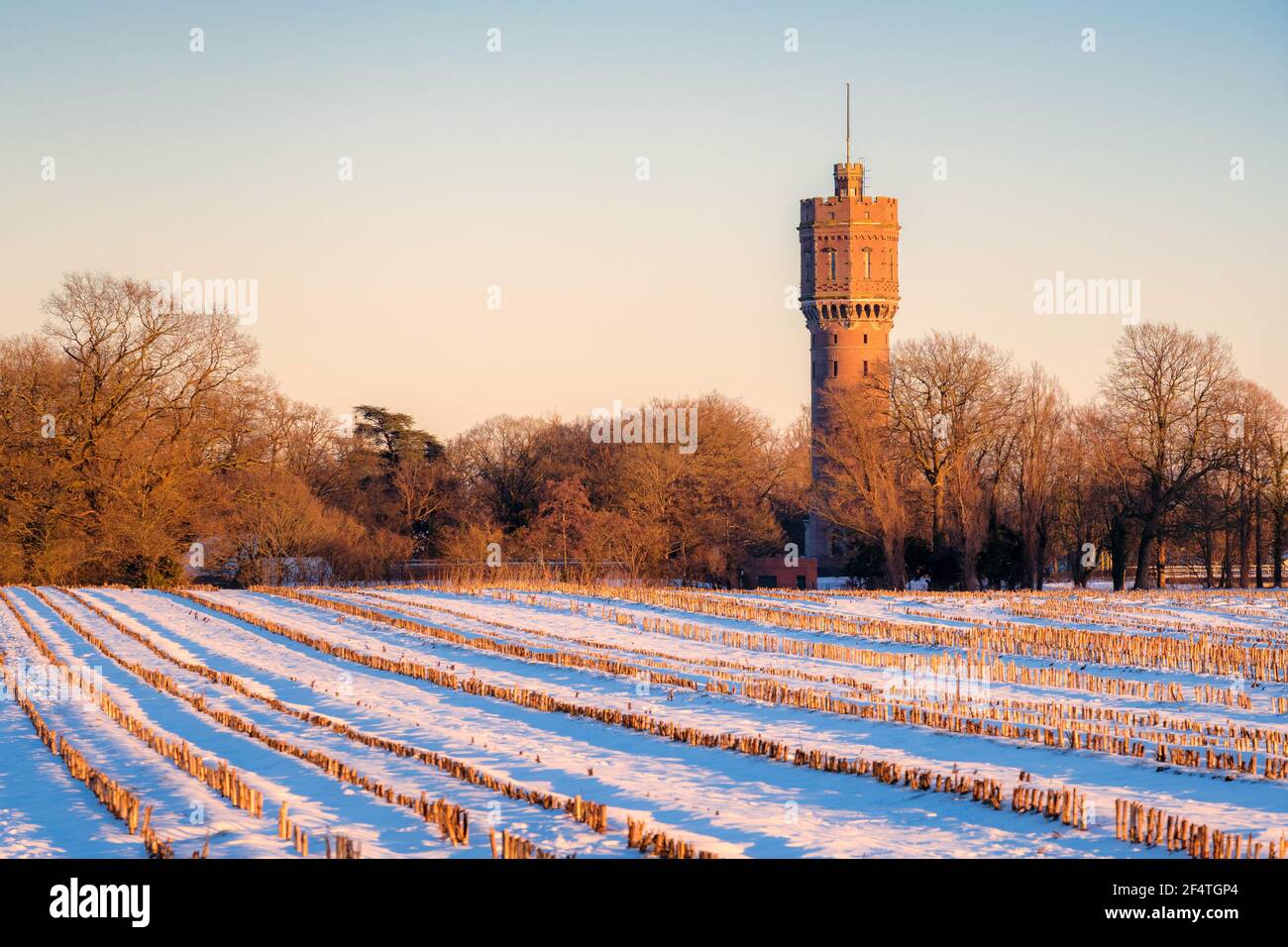 Dutch winter landscape with the water tower of Delden, in the eastern ...