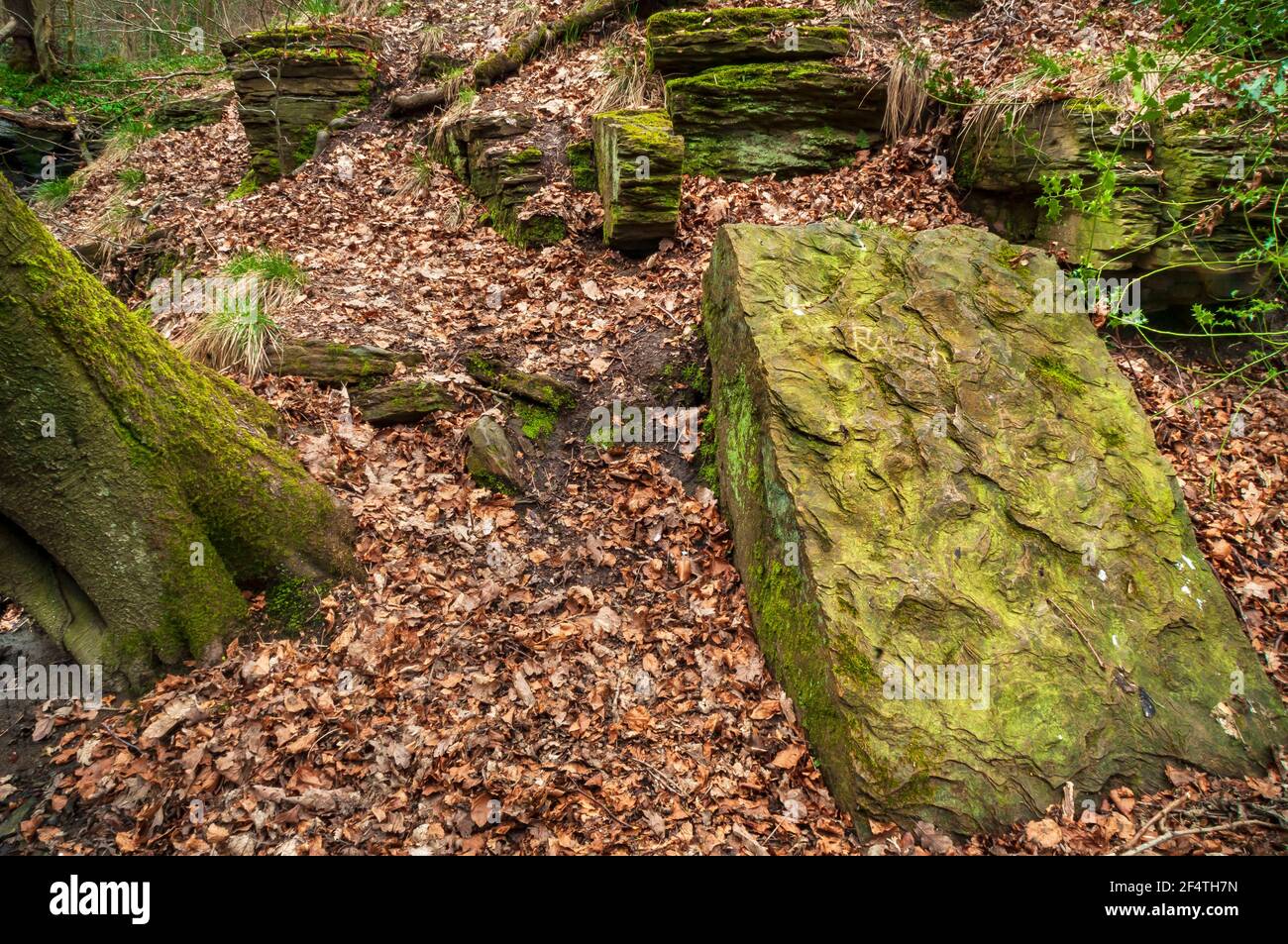 Large slab of collapsed sandstone on the banks of the Meers Brook in ...