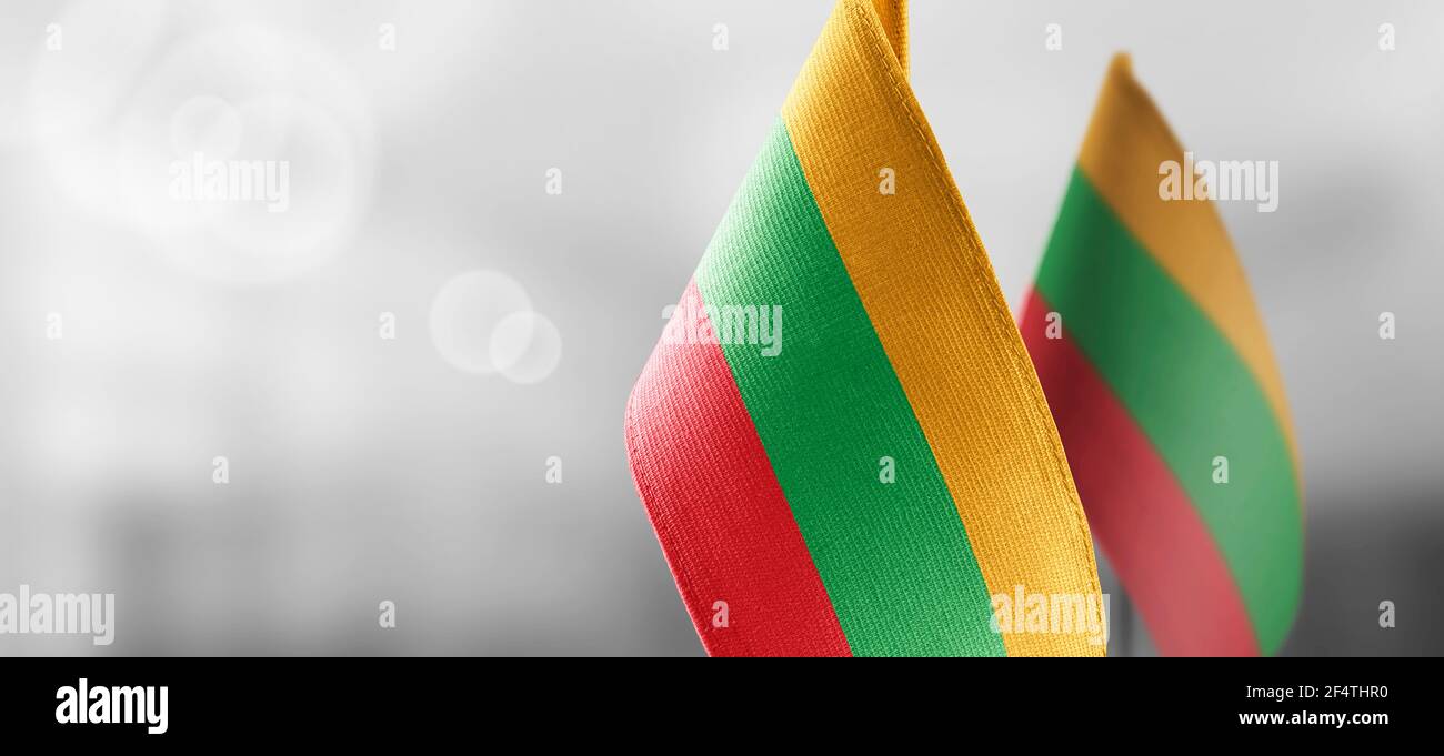 Small national flags of the Lithuania on a light blurry background ...