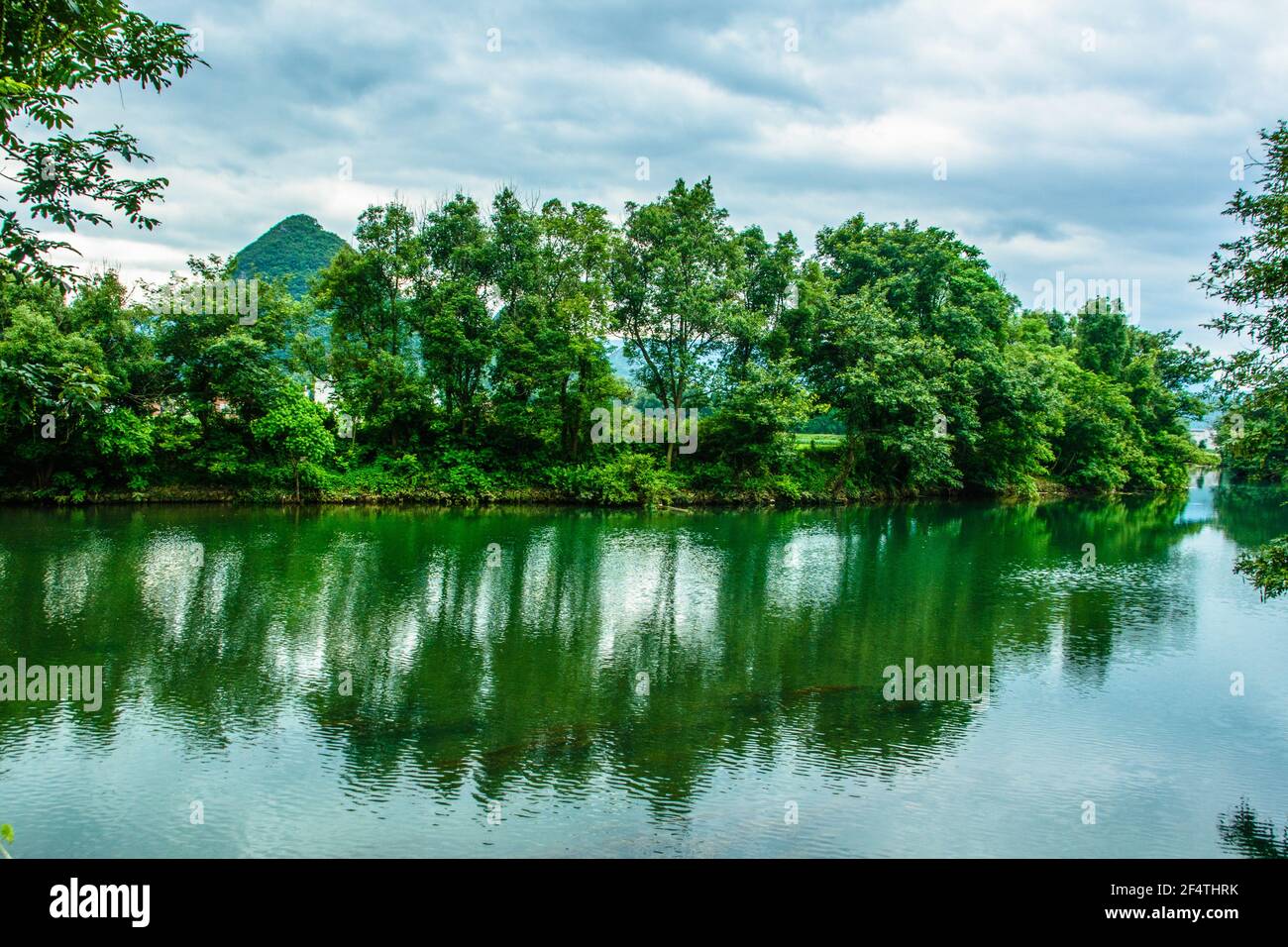 The river and green tree scenery in spring Stock Photo - Alamy