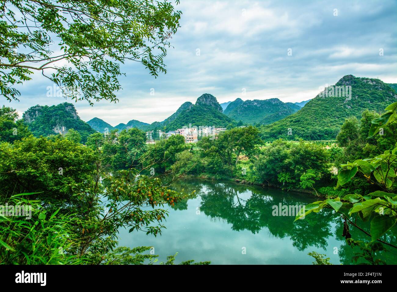 Nature water tree scenery hi-res stock photography and images - Alamy