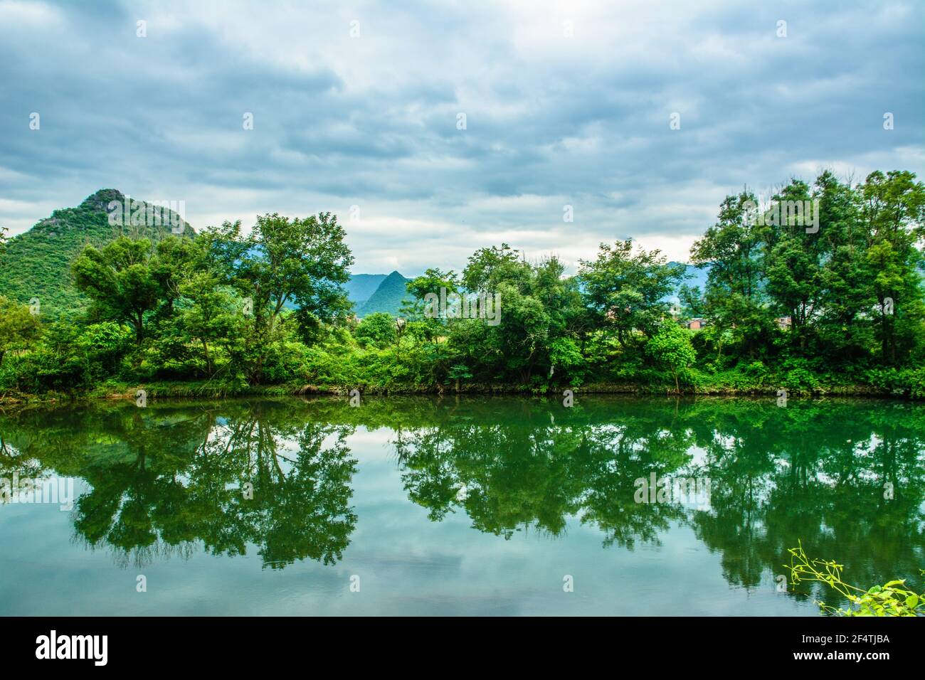 Tree scenery hi-res stock photography and images - Alamy