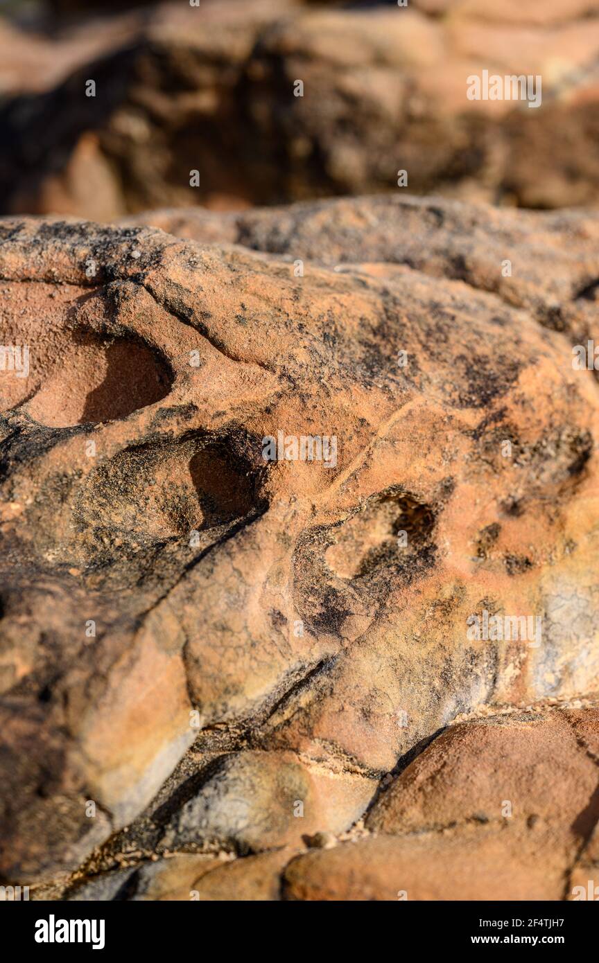 Detail of erosion on rock near the sea with multiple colors Stock Photo ...