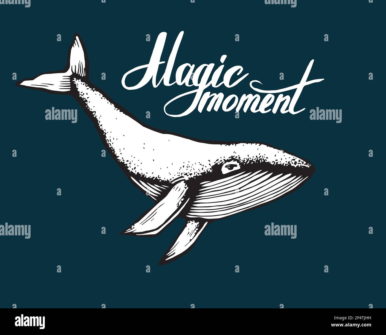 Hand-Drawn Doodle of whale with lettering Magic moment on dark ...