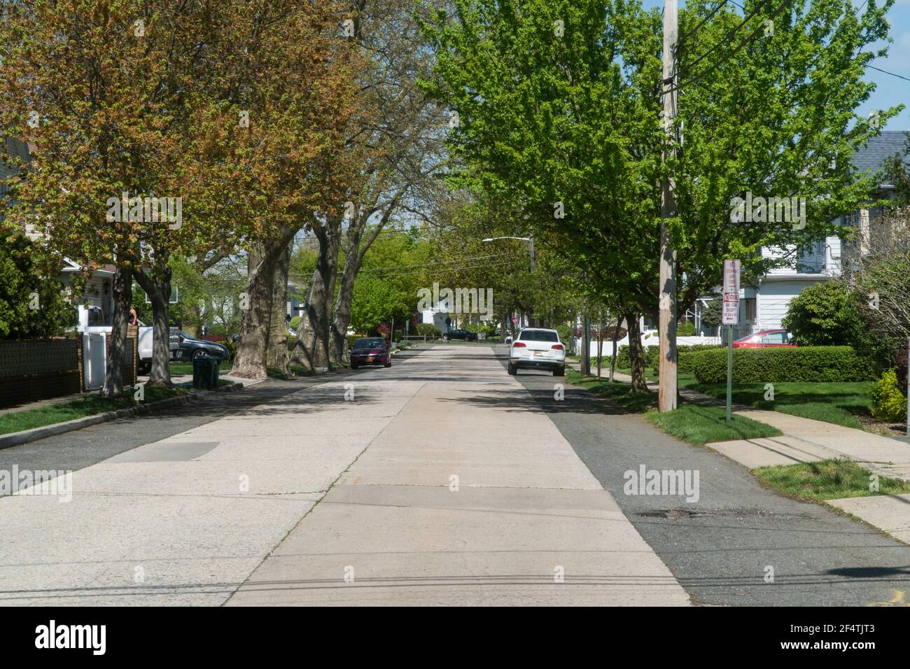 Suburban Community Street