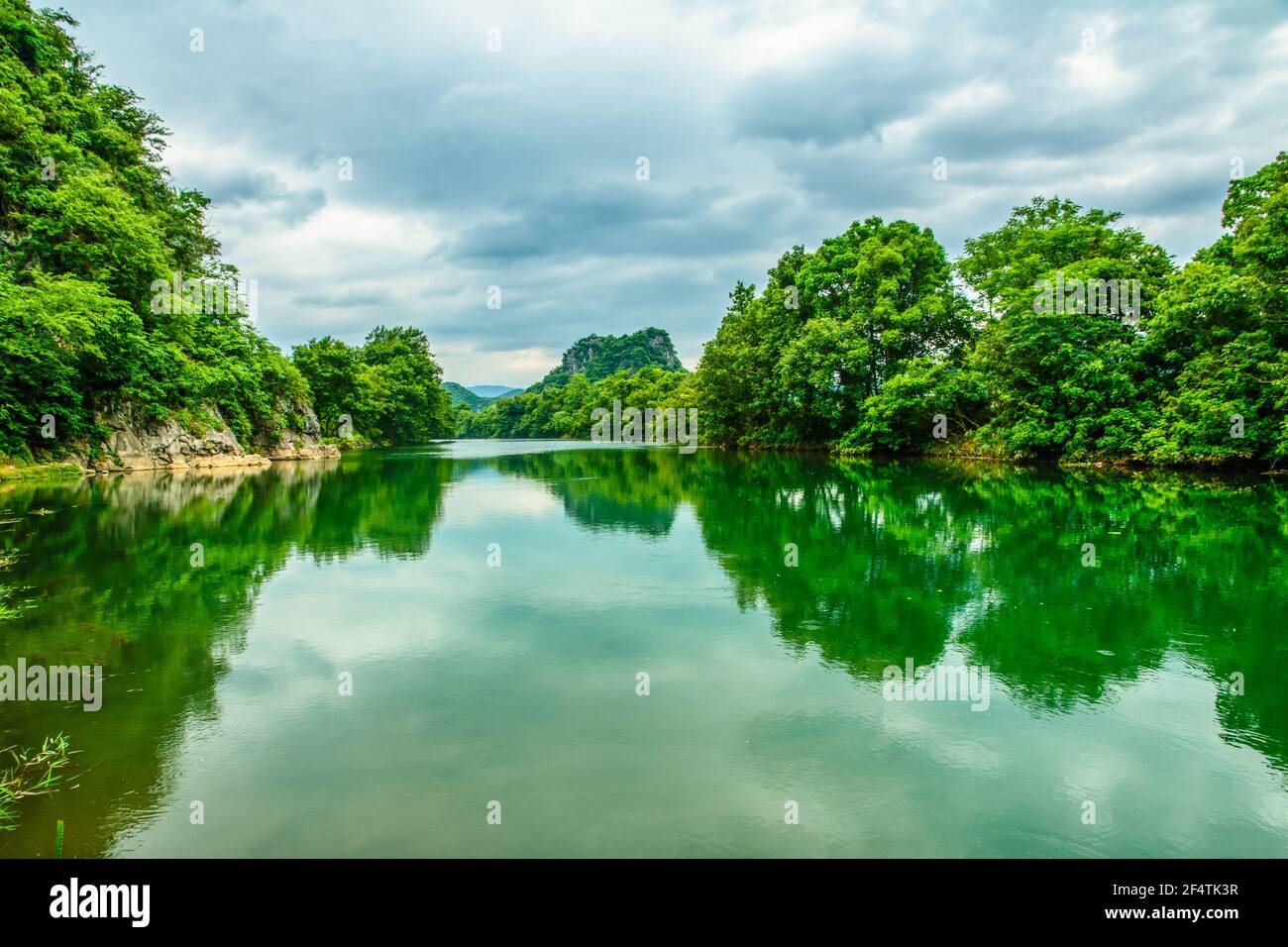 Tree scenery hi-res stock photography and images - Alamy