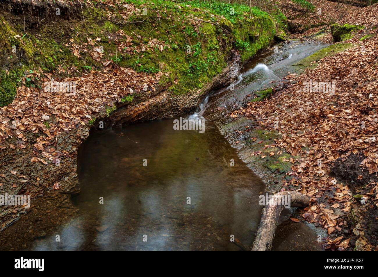Dipping beds hi-res stock photography and images - Alamy