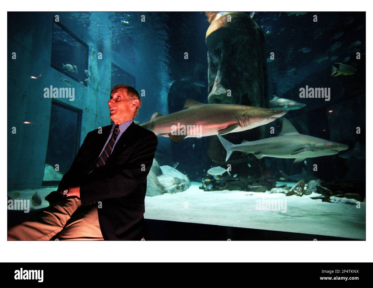 Shark Tank High Resolution Stock Photography and Images - Alamy