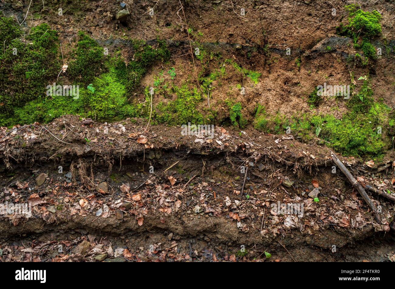 Sediment beds hi-res stock photography and images - Alamy