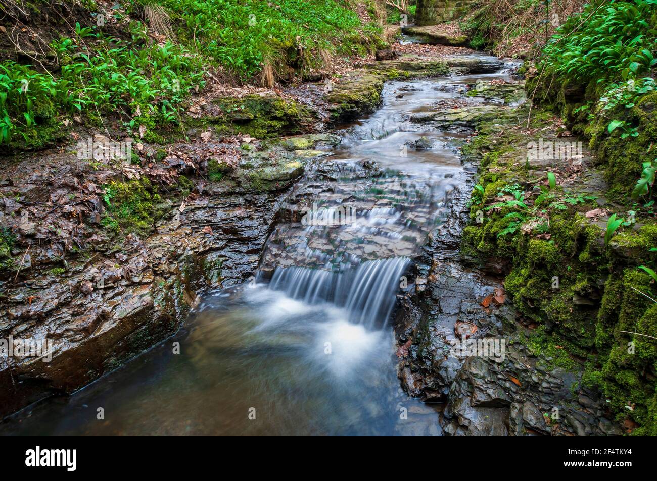 Timber fence slope hi-res stock photography and images - Alamy