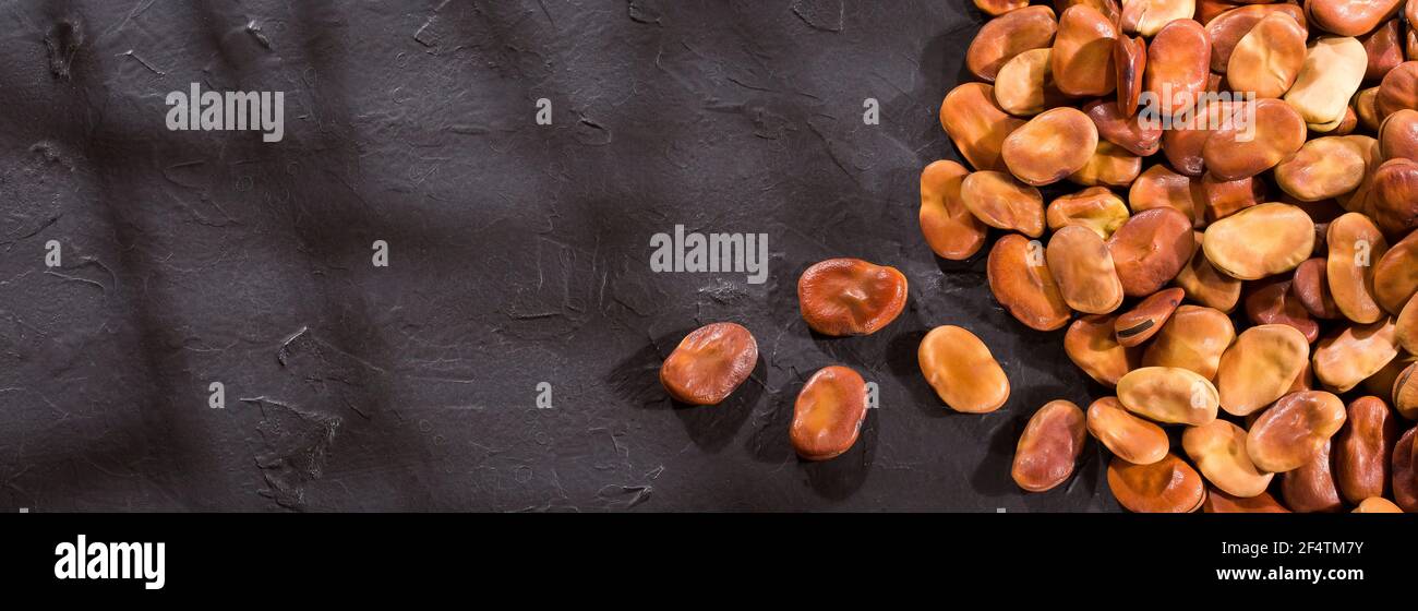 Fava brown dried beans - Vicia faba L Stock Photo - Alamy