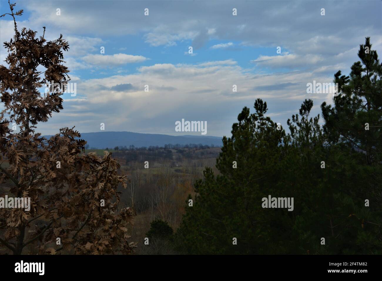 Green landspace hi-res stock photography and images - Alamy