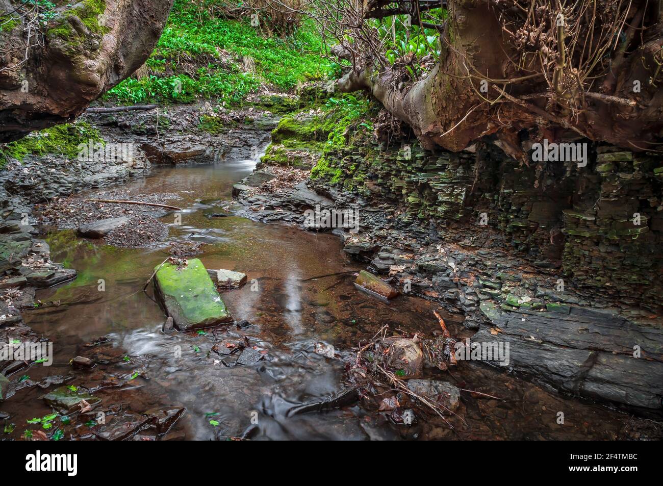 Mudstone bank hi-res stock photography and images - Alamy
