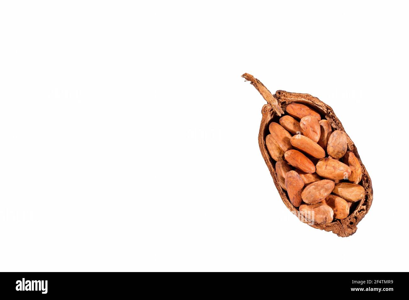 Cocoa theobroma Cut Out Stock Images & Pictures - Alamy