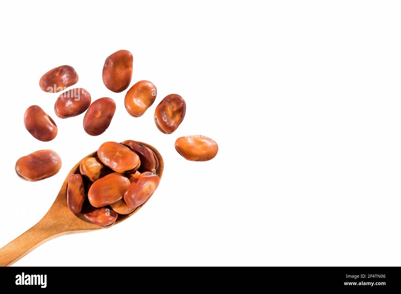 Fava brown dried beans - Vicia faba L Stock Photo - Alamy