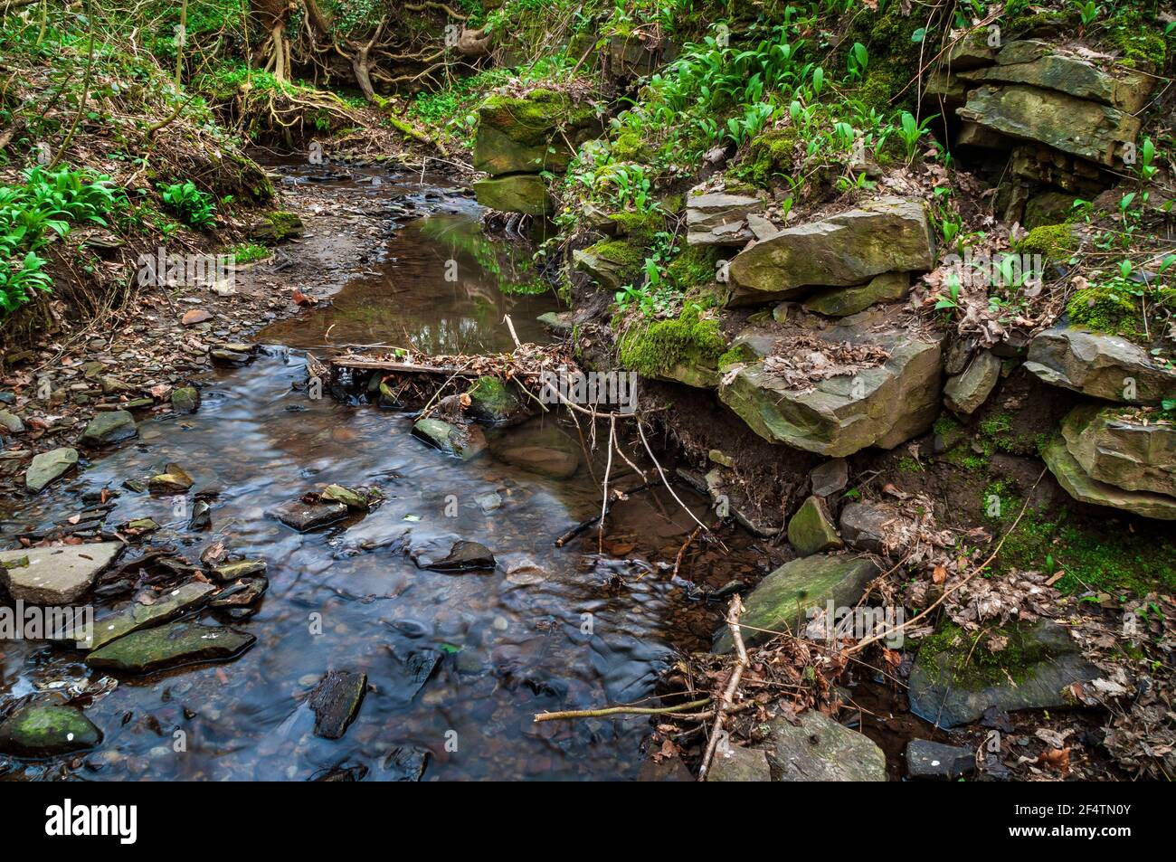 Displaced blocks of a sandstone outcrop in the banks of the Meers Brook ...