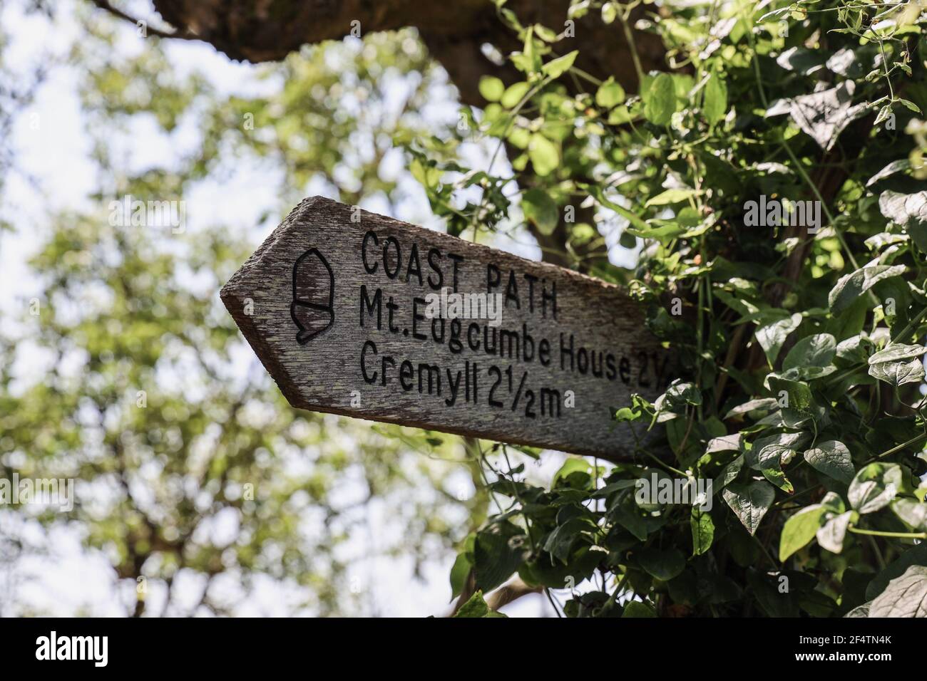 An acorn wooden direction sign on the South West Coast Path at Rame ...
