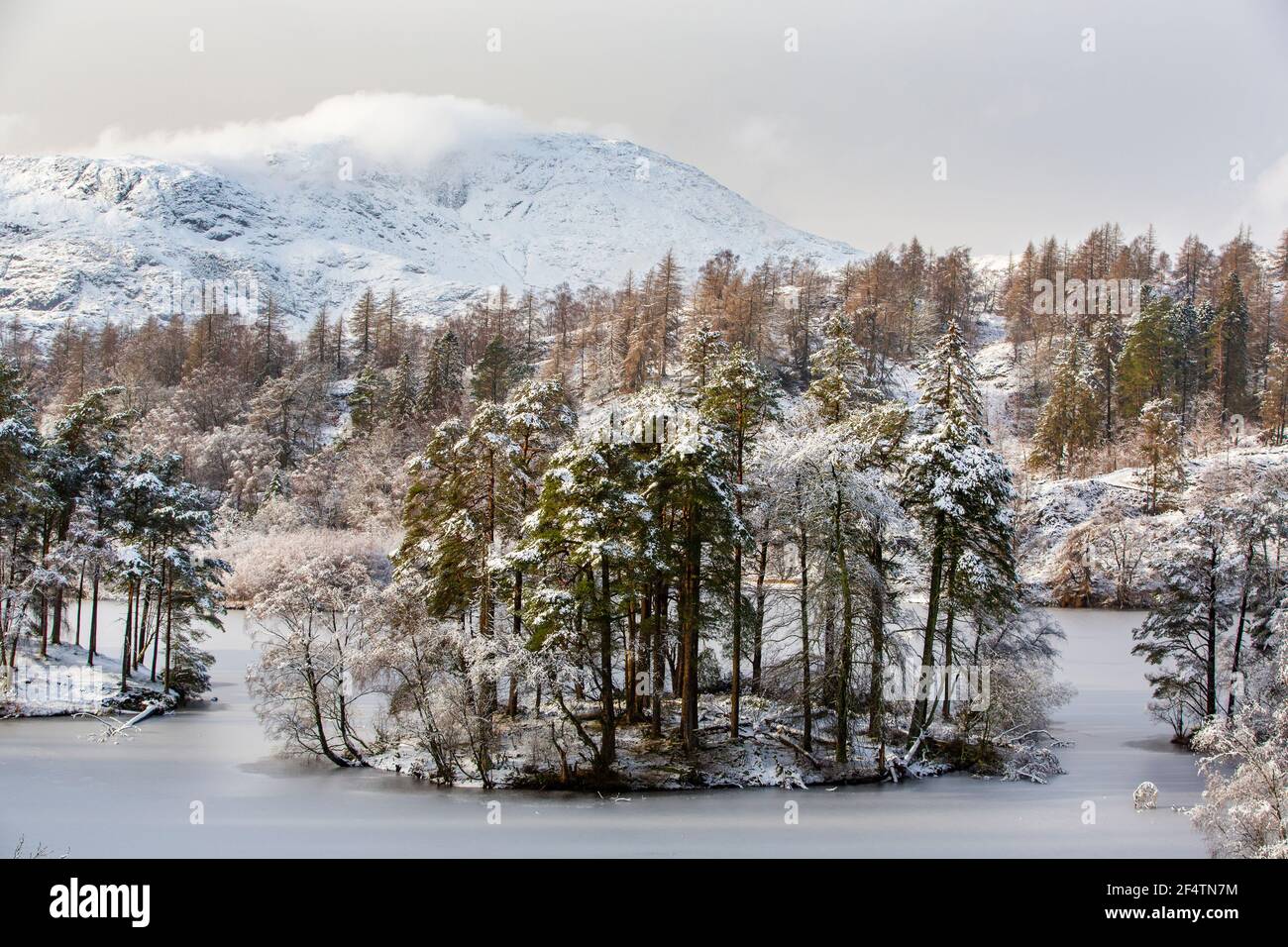 Tarn Howes frozen over in winter conditions, Lake District, UK, looking ...