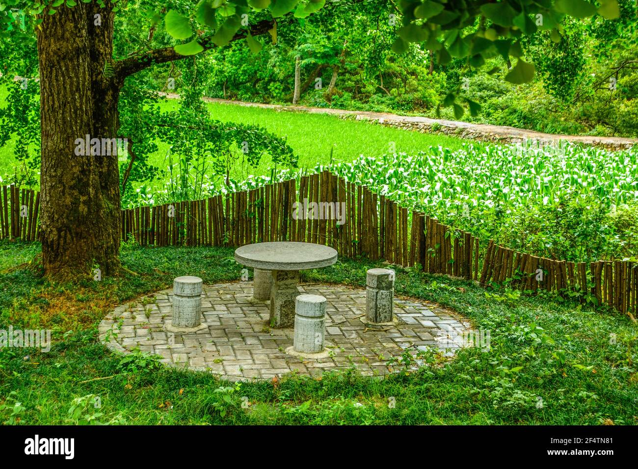 Table scenery hi-res stock photography and images - Alamy