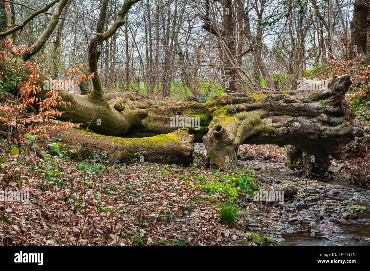 Meers brook hi-res stock photography and images - Alamy