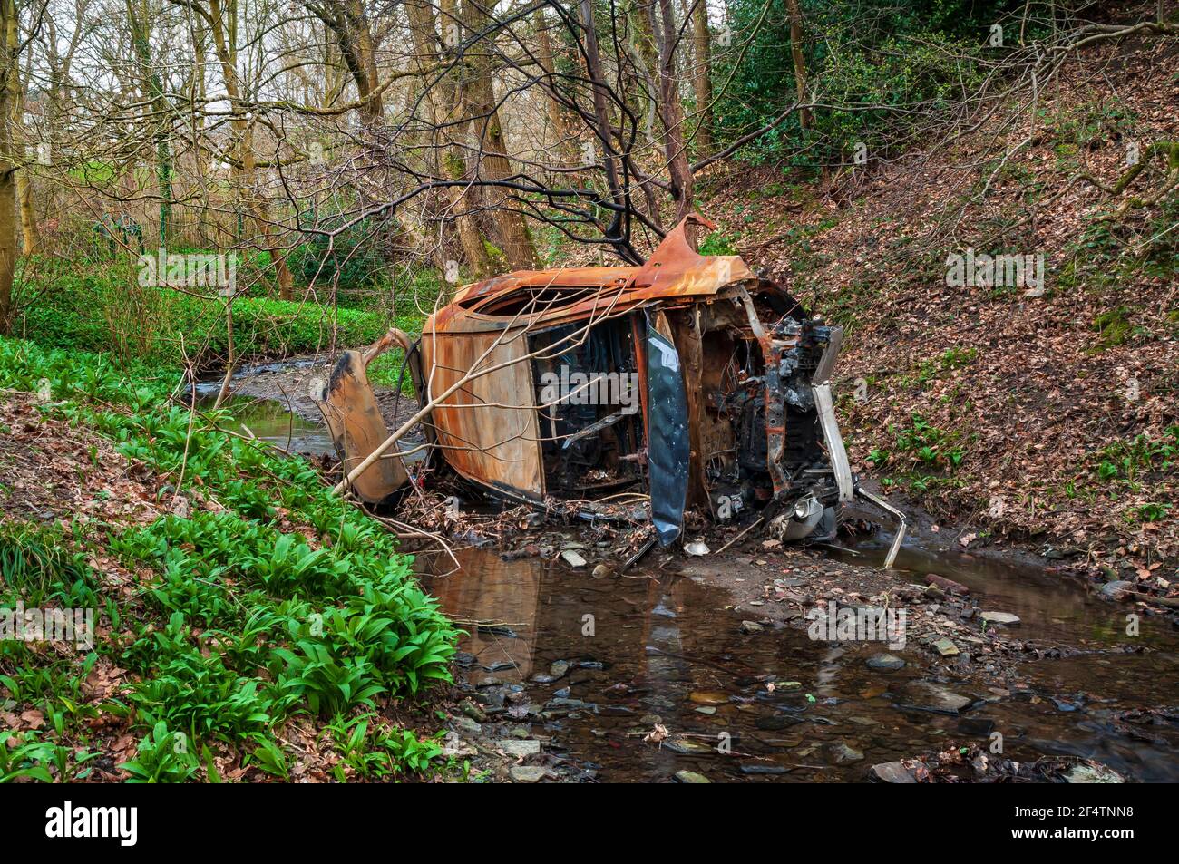 Burnt undergrowth hi-res stock photography and images - Alamy