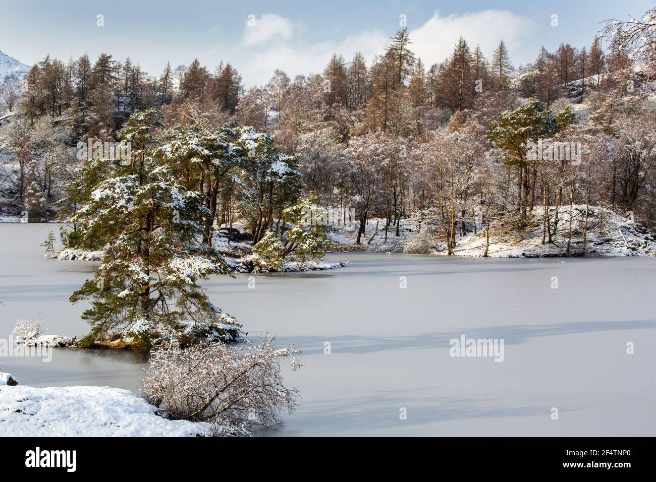 Tarn Howes frozen over in winter conditions, Lake District, UK Stock ...