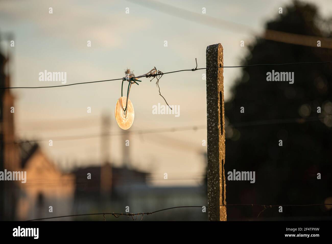 Detail of CD, Compact disc, hanging outside at sunset Stock Photo - Alamy