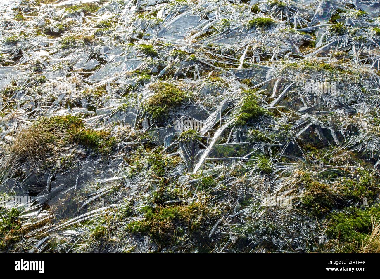 Ice patterns on a frozen bog pool on Fairfield, Lake District, UK Stock ...