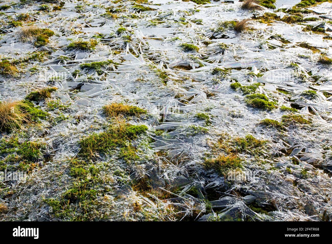 Ice patterns on a frozen bog pool on Fairfield, Lake District, UK Stock ...